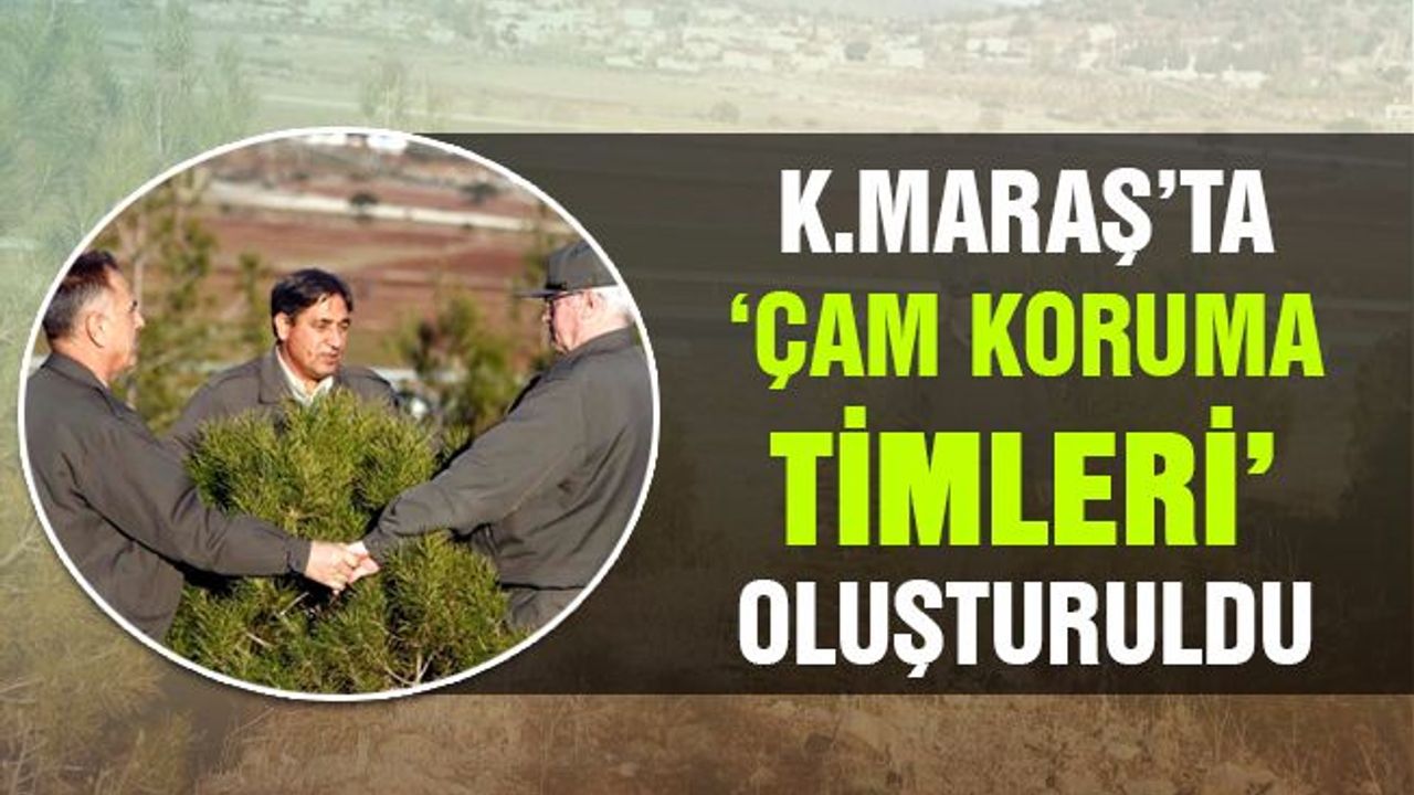 Kahramanmaraş’ta yıl başı öncesi ‘Çam Koruma Timi’ oluşturuldu ...