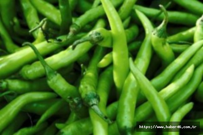 Türk biberi 49 ülkenin sofrasında! - Kahramanmaraş Haber - K.Maraş ...