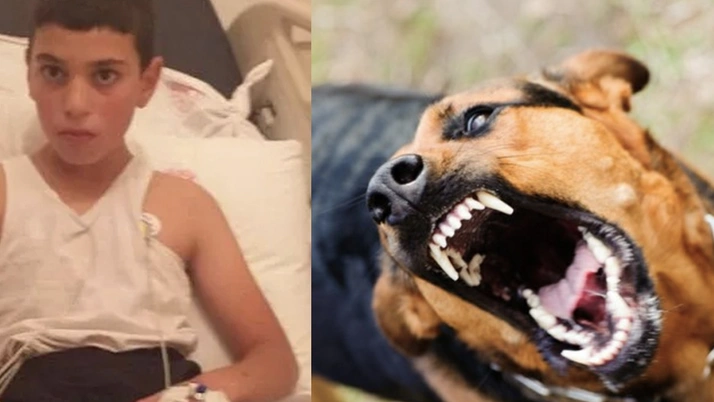Köpek Isırmasıyla Kuduz Olan Çocuk Hala Yoğun Bakımda: Acılı Baba İlk ...